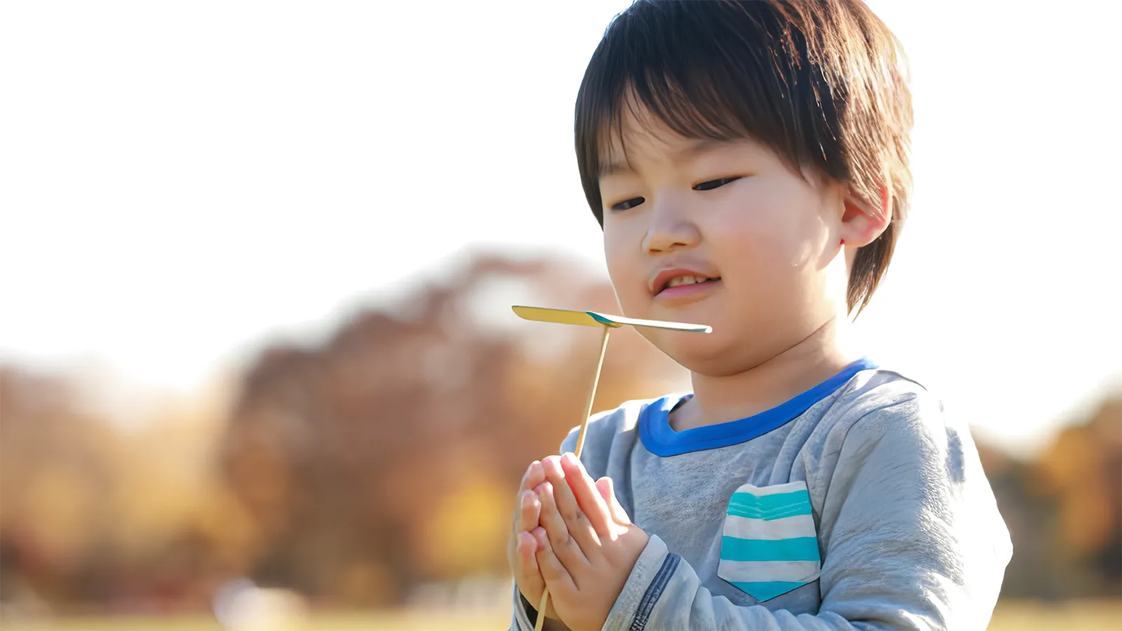 Complete Guide to Making Bamboo Copters: Easy for Beginners! Tips for ...